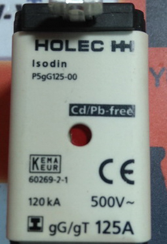 HOLEC SET MESPATROON 125 P5gG125-00 - PLC DCS SERVO Control MOTOR POWER ...